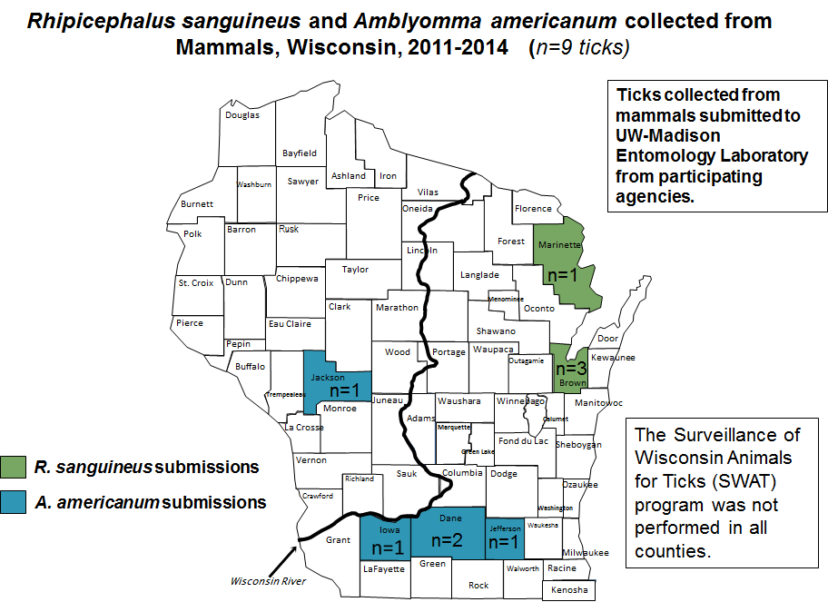 Rhipicephalus and Amblyomma map through SWAT – Wisconsin Ticks and Tick ...