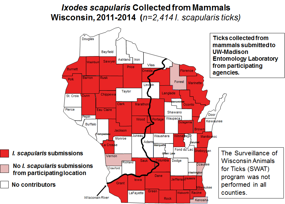 Ixodes scapularis SWAT results – Wisconsin Ticks and Tick-borne ...